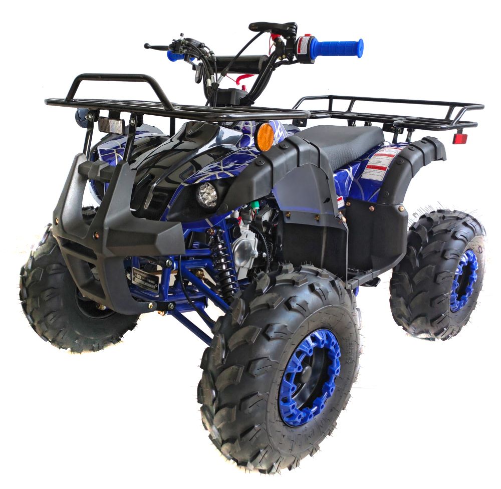 TaoTao ATA-125D kids ATV | Taotao 110cc ATV for sale